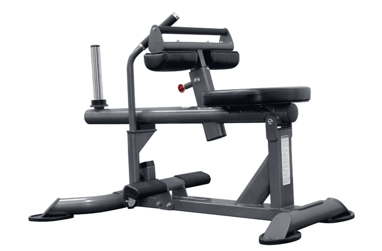 Maximize Your Abdominal Workout with the Leg Raise Machine | BodyKore